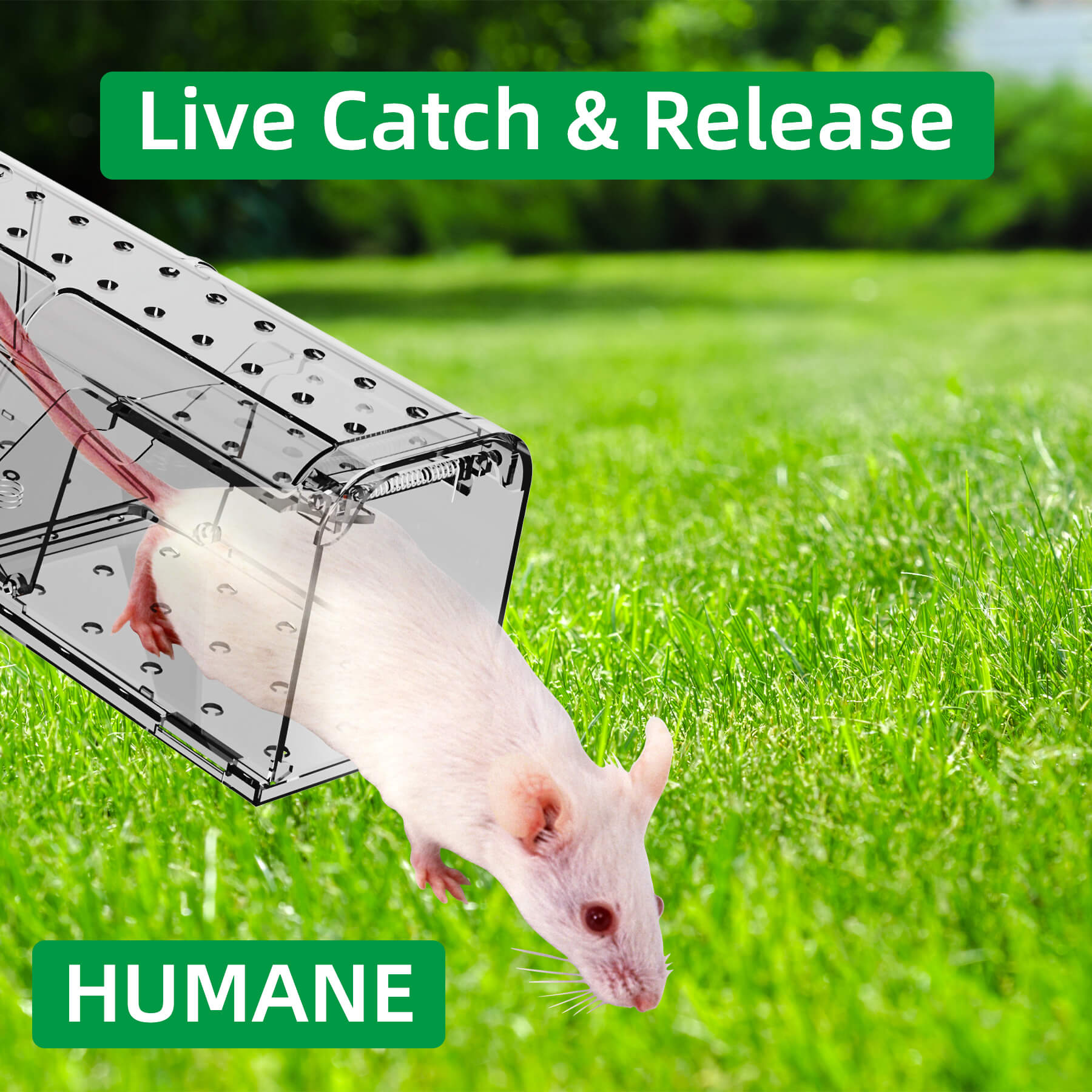 Humane Mouse Trap ( AR04E PRO) - x-pest