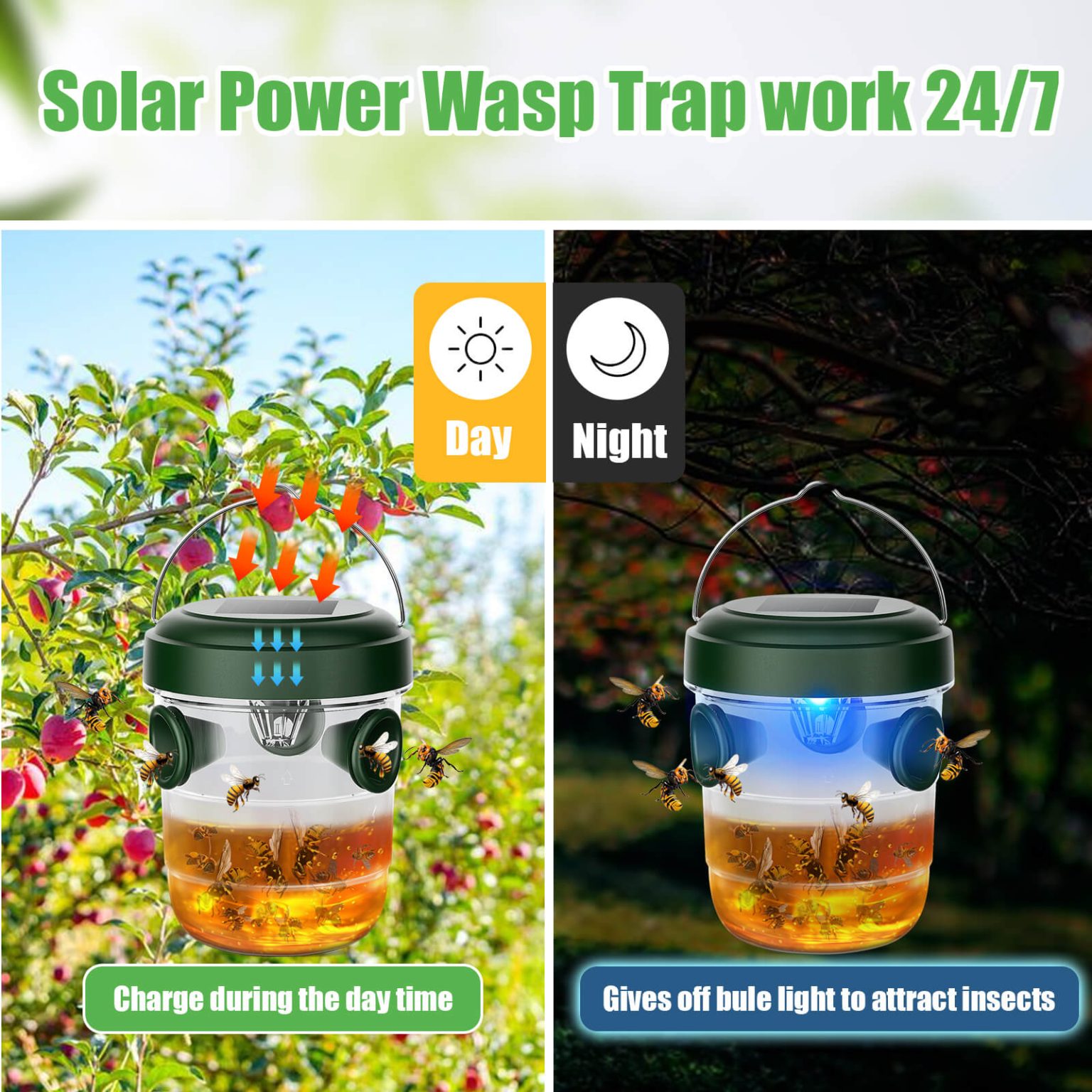 Solar-powered Wasp Trap（FT01B） - x-pest