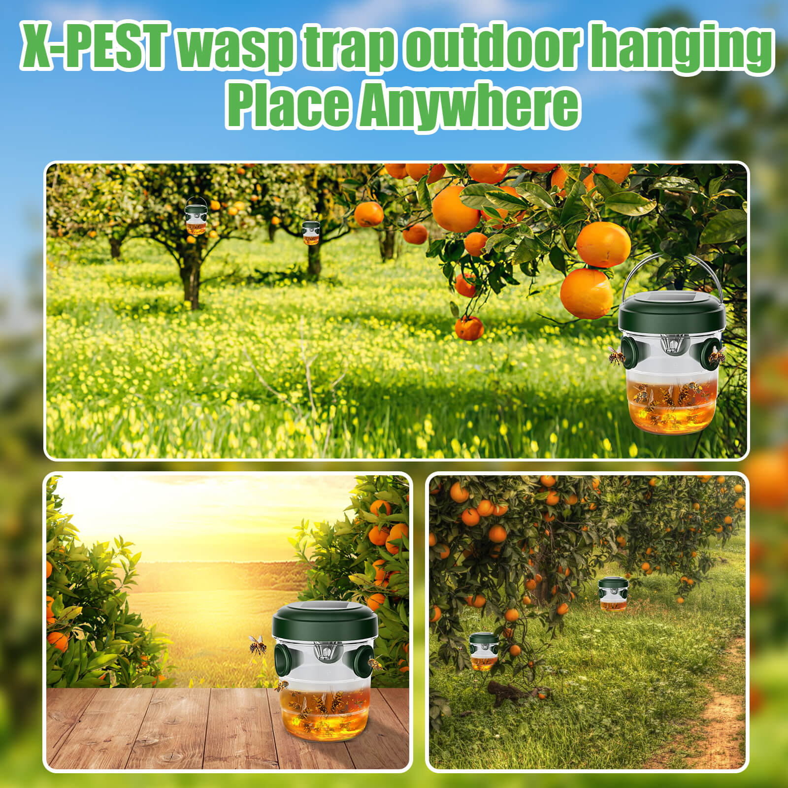 Solar-powered Wasp Trap（FT01B） - x-pest