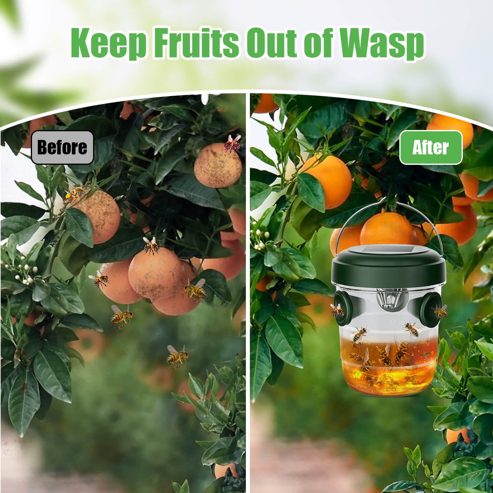 Solar-powered Wasp Trap（FT01B） - x-pest
