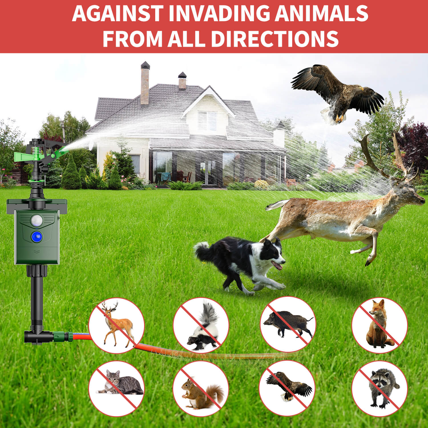 Motion Activated Sprinklers（AR38） - x-pest