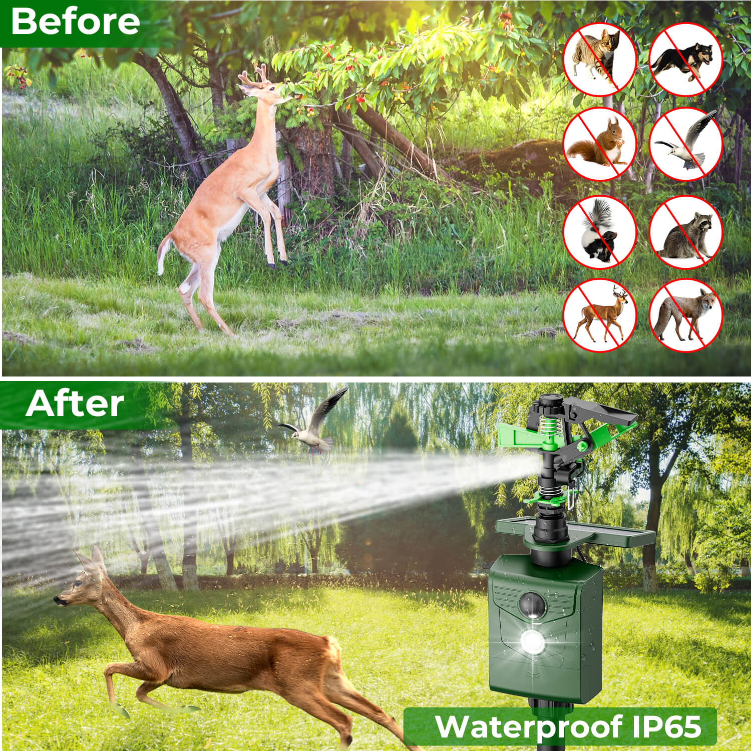 Motion Activated Sprinklers（AR38） - x-pest